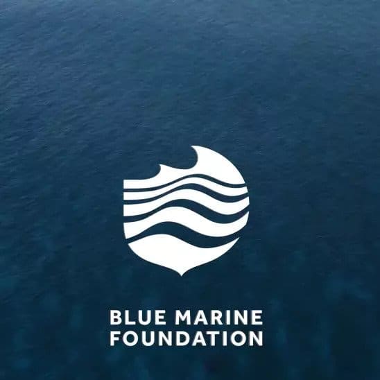 Blue Marine Foundation - City Dynamics
